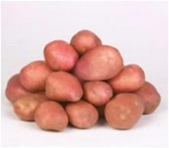 T09950- Tuberculi de cartofi trataţi "Desirée" 50
